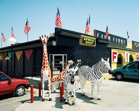 Louis Porter | Claes Gellerbrink's Blog