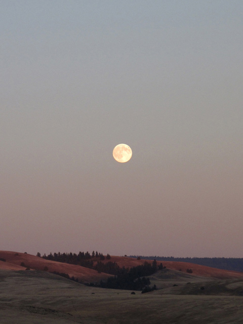 Delaney Allen's Bold Photographic Diary Reflects on Themes of ...