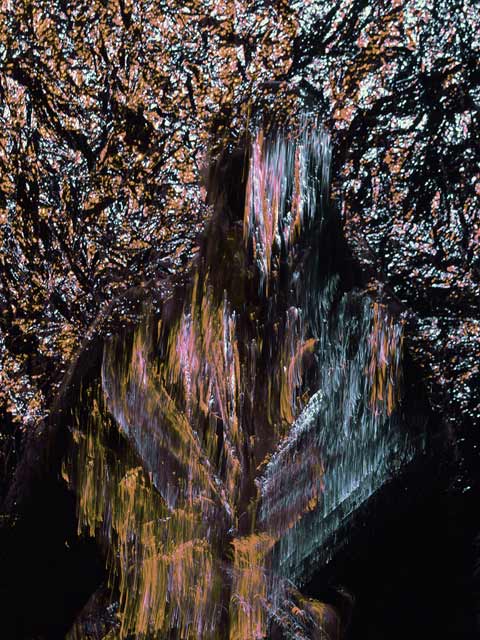 Delaney Allen's Bold Photographic Diary Reflects on Themes of ...