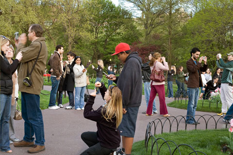 Pelle Cass Creates a Patterned, Surreal World by Condensing Hundreds of ...