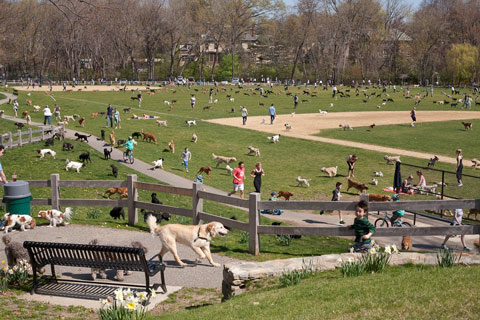 Pelle Cass Creates a Patterned, Surreal World by Condensing Hundreds of ...