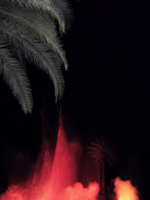 Delaney Allen's Bold Photographic Diary Reflects on Themes of ...