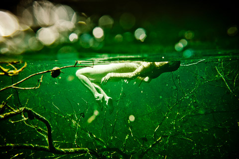 Photographer Captures Surreal Underwater Portraits of Women Skinny ...