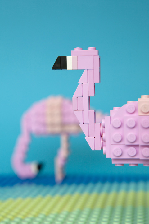 Colorful Portraits of Beautiful Birds Made From LEGO