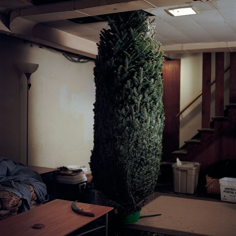 Group Show: 21 Photos to Get You In the Mood for the Holidays ...