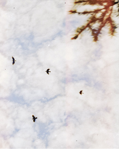 Haunting Photographs of a Family Vacation Spot Off the Coast of Maine ...