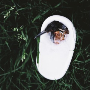 Photographer Memorializes Deceased Animals in a Unique and Memorable ...