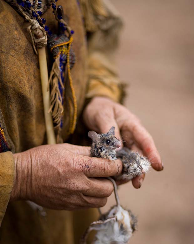 Back to the Land: Stunning Photos Explore the Hunter-Gatherer Way of ...