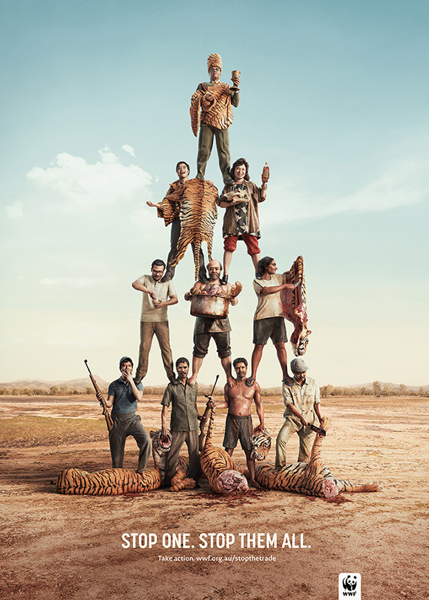 WWF Launches Compelling Campaign to Stop Crimes Against Wildlife ...