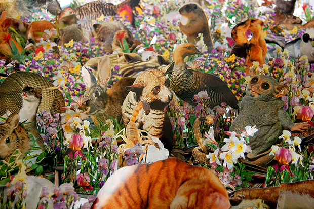 Artist Recreates the Animal Kingdom in Breathtaking Collage ...