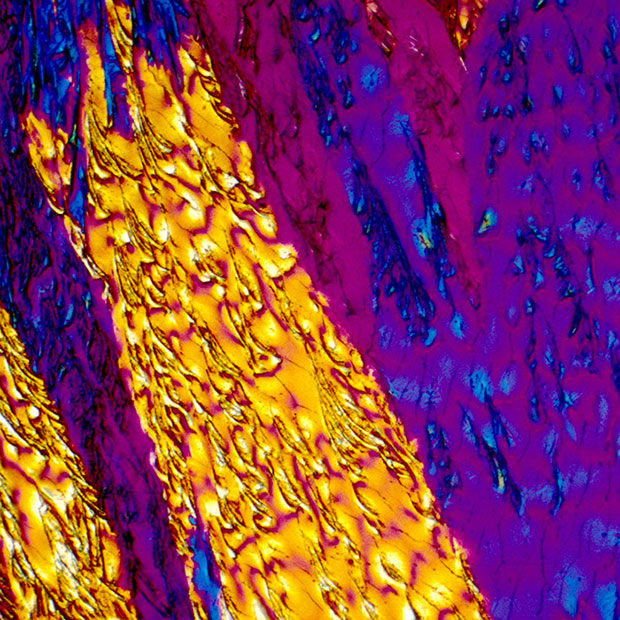 Psychedelic Photos Reveal What Your Favorite Cocktail Looks Like Under ...