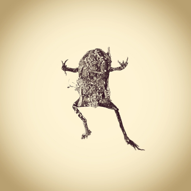 An Up Close and Personal Survey of the Tiny Critters in American ...