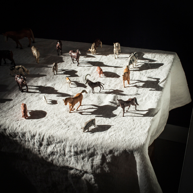 'Gardening At Night': Cig Harvey's Photographic Exploration of Home ...