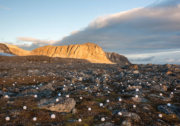 'The Polar Pom-Pom Project' Explores Climate Change in the Arctic ...