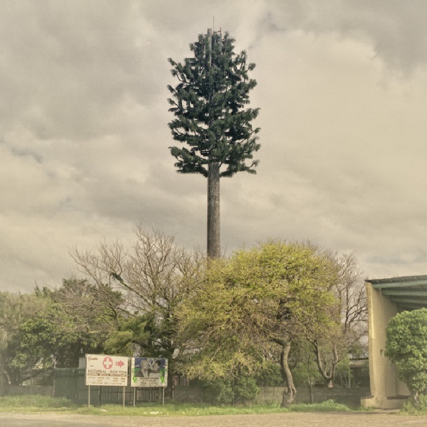 Photos of Cell Phone Towers Ridiculously Disguised as Trees - Feature Shoot