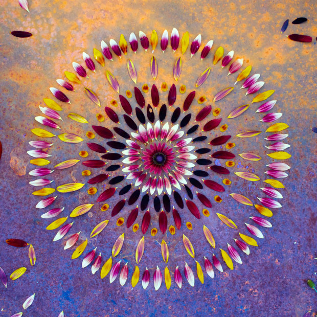 Mesmerizing Mandalas Made From Flowers and Vegetables - Feature Shoot
