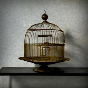 Photos of Vintage Objects Evoke Nostalgia for Simpler Times - Feature Shoot