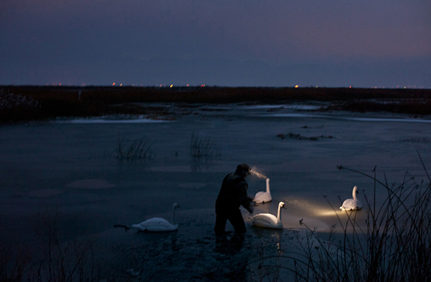 Swan Hunting in Utah Photographed by Cayce Clifford - Feature Shoot
