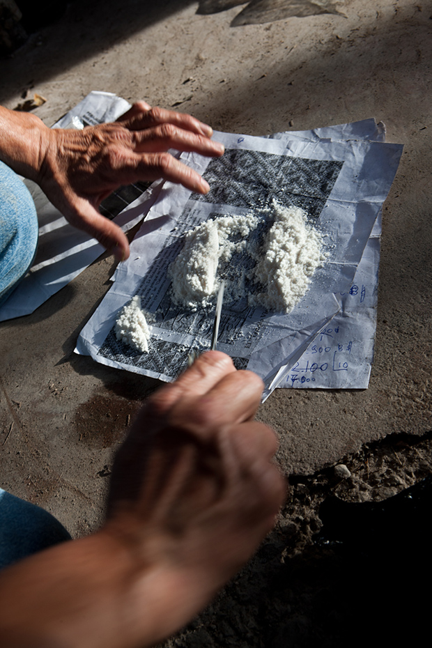 Revealing Photos Look at Bolivia's Coca Leaf, Used to Produce ...