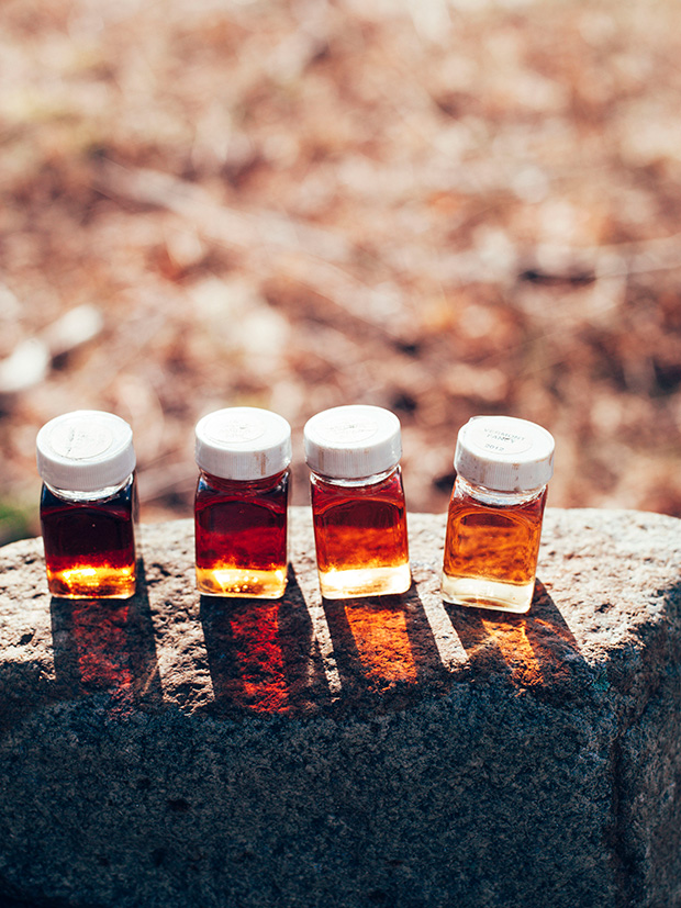 A Rare Glimpse Into the Making of New England Maple Syrup - Feature Shoot