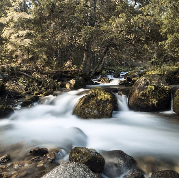 Photographers Tom Windeknecht, Christopher Lange, Peter Lambert, Jenny ...