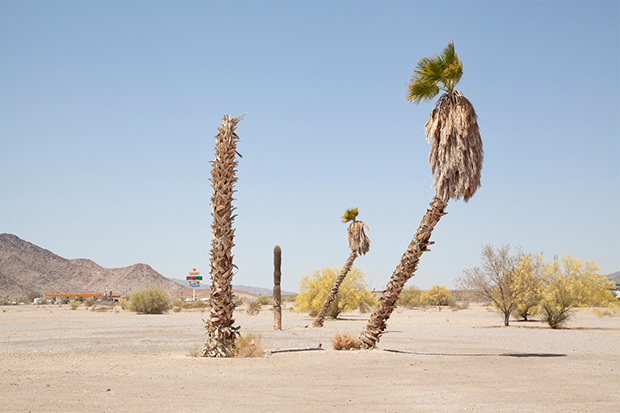 Photographer Traverses the Inhospitable Terrain of the Mojave and ...