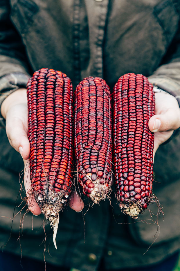 Food, Family, Fun, and Laziness: 15 Images that Capture the True Spirit ...