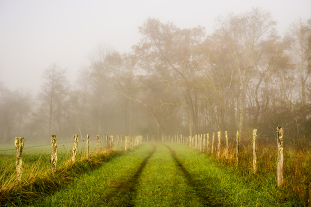 These 19 Photos of the Open Road Take Us on a Beautiful Journey From ...