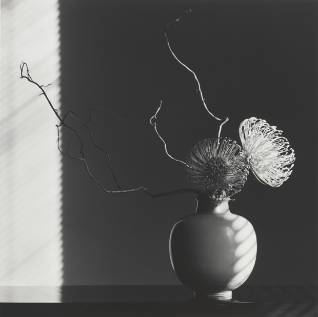 Robert Mapplethorpe's Pioneering Images Compiled into New Book ...