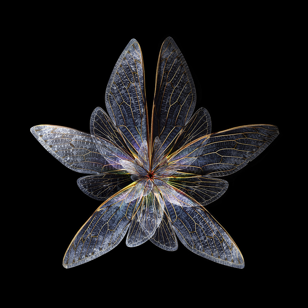 Insect Wings Mimic Beautiful Flowers in 'Mimesis' - Feature Shoot