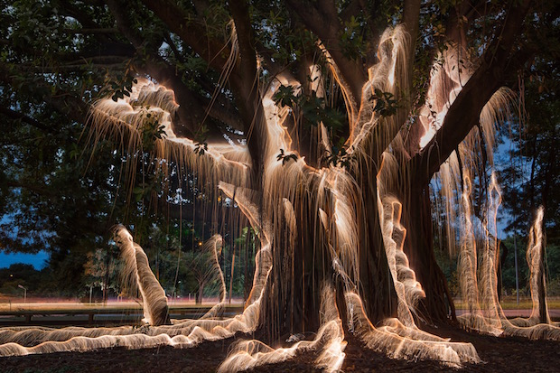 Artist uses Long Exposures to Create Ecstatic Light Sculptures ...