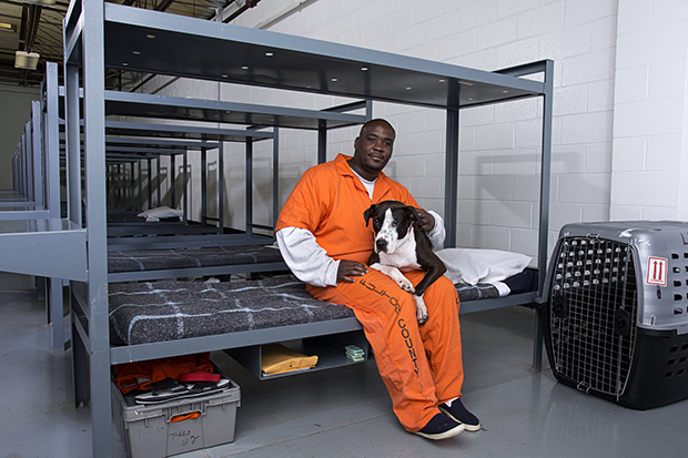 Prison Inmates Care for Homeless Dogs With Help from 'Canine Cellmates ...