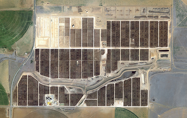 Horrific Satellite Images of Texas Feedlots - Feature Shoot