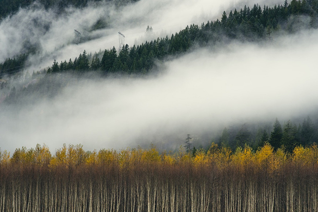 12 Foggy Photos Make Earth Look Like Another Planet (Sponsored ...