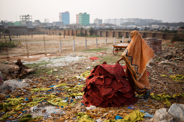 'A Thousand Polluted Gardens' in the Heart of Bangladesh’s Capital ...