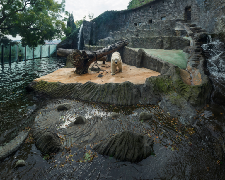 Photographer Reflects on the Realities of Animals in Captivity ...