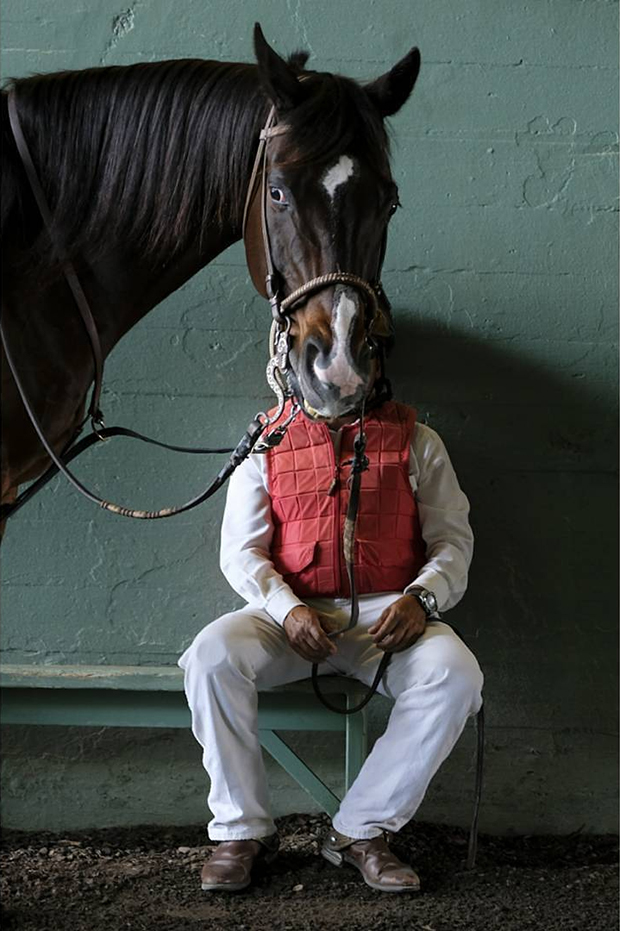 Birds, Cats, and Landscapes: Our 25 Most Popular Instagram Photos of ...