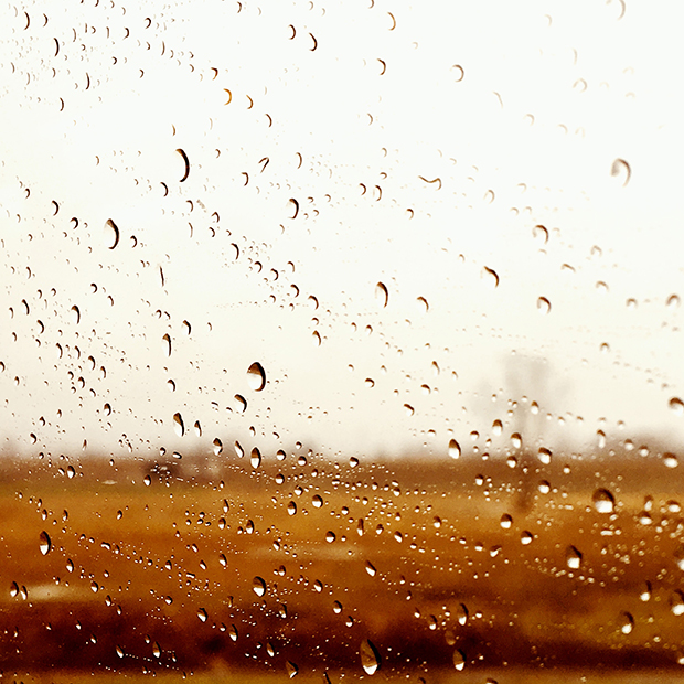 21 Atmospheric Photos Taken in the Rain - Feature Shoot