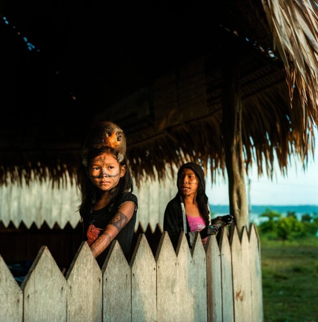 A Portrait of the Amazon on the Brink of Catastrophic Change - Feature ...