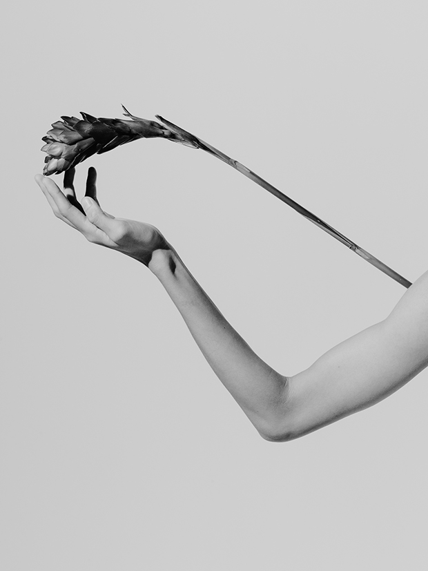 Timeless Photos Capture the Poetry of the Human Form - Feature Shoot