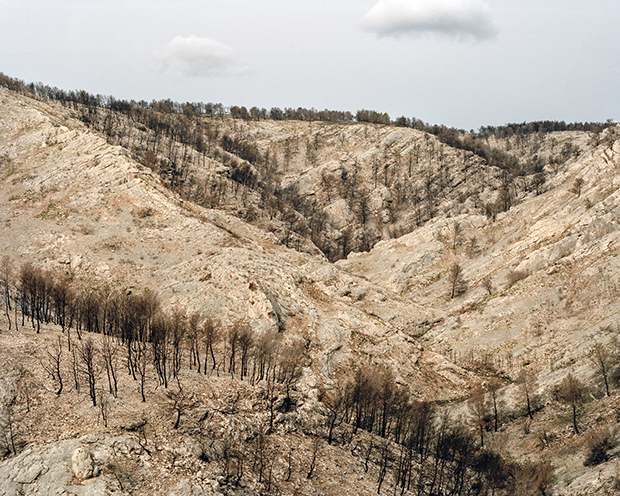 The Story of a Landscape Ravaged by Wildfires, in Photos - Feature Shoot