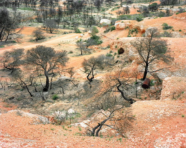 The Story of a Landscape Ravaged by Wildfires, in Photos - Feature Shoot