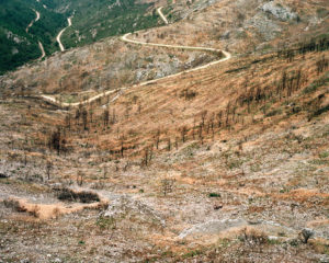 The Story of a Landscape Ravaged by Wildfires, in Photos - Feature Shoot