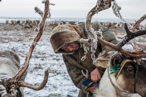 Documentary photographer Alegra Ally reflects on cultural adaptation ...