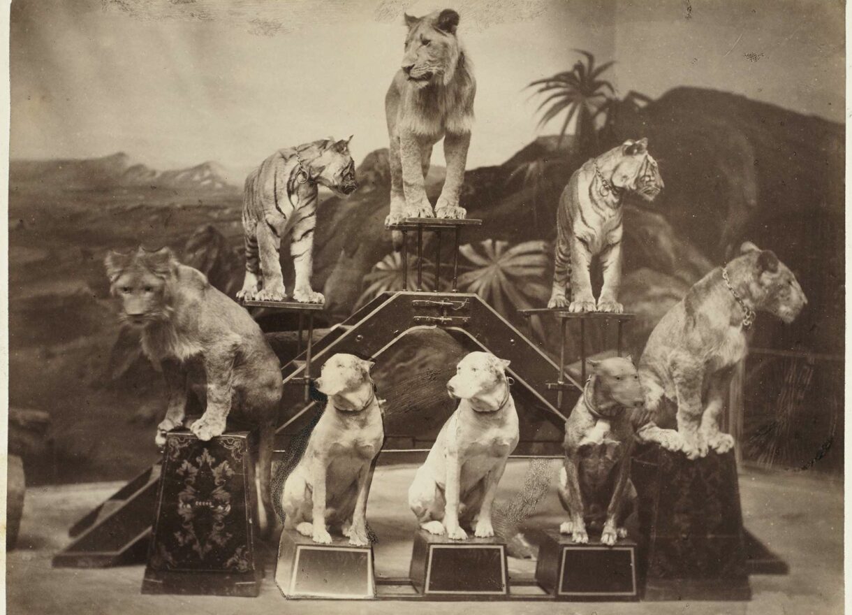 Travel photography, Fashion photography, Documentary photography ...