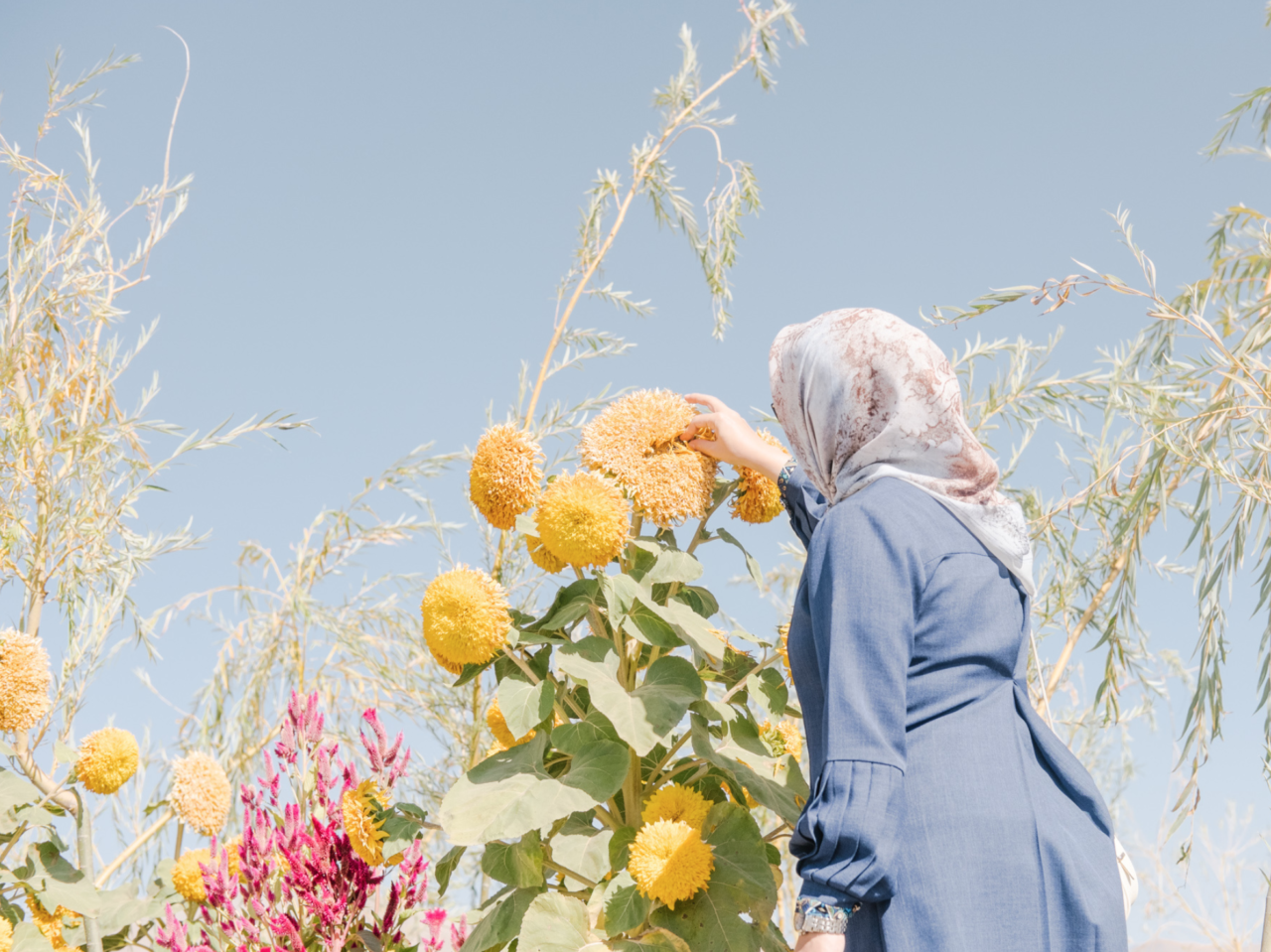 Announcing the Winners of The Feature Shoot Emerging Photography Awards ...