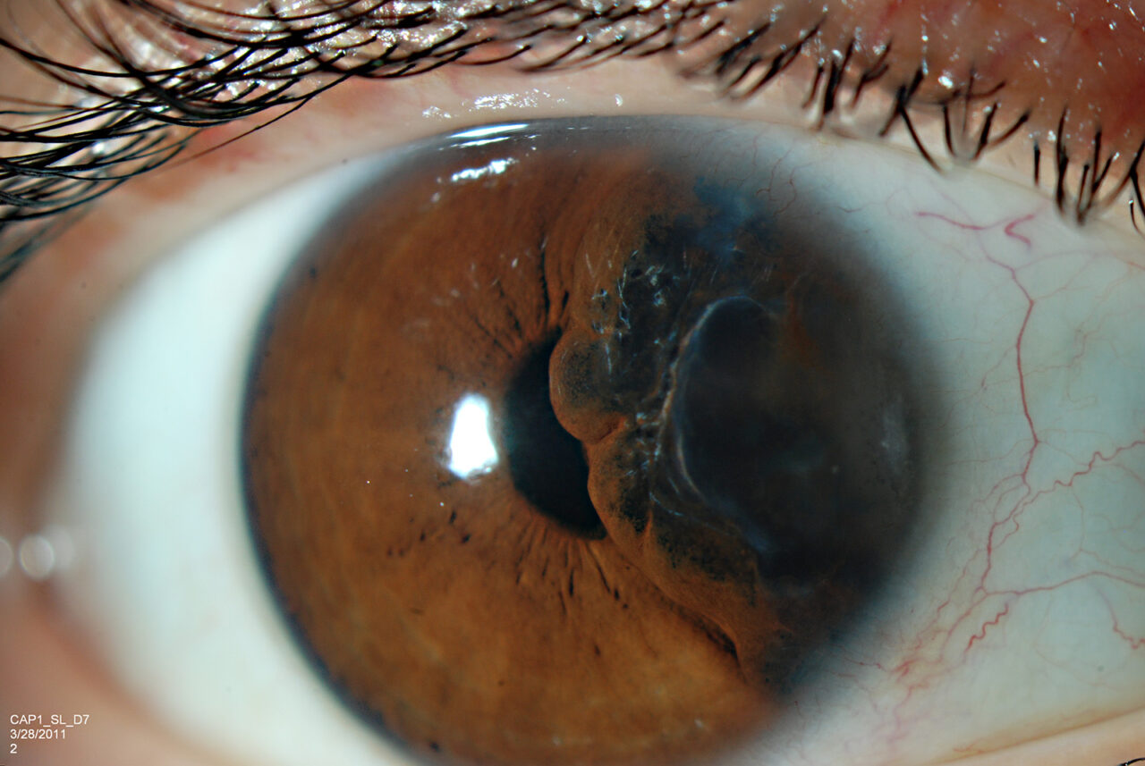 Photography Job You've Never Heard Of: Medical Photographer - Feature Shoot