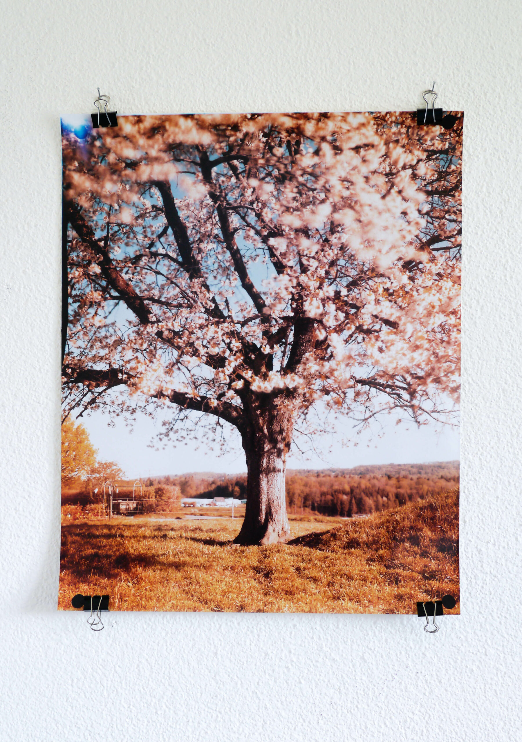 15 DIY Cameras That'll Blow Your Mind - Feature Shoot