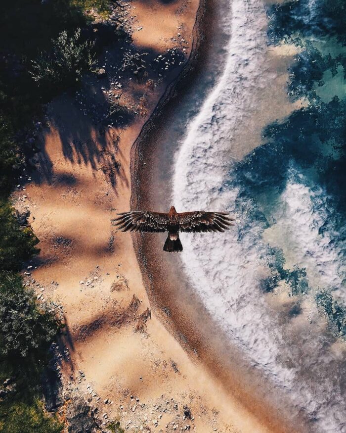 Meet the 'Virtual Photographers' Snapping Photos in Video Games ...