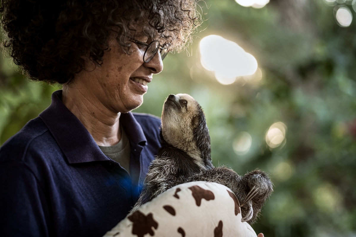 This Woman in Suriname Has Rescued More than 1,000 Sloths - Feature Shoot